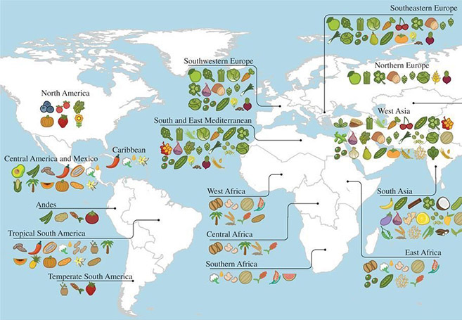 A Fascinating Map Of The World S Happiest And Least Happy Countries - Riset
